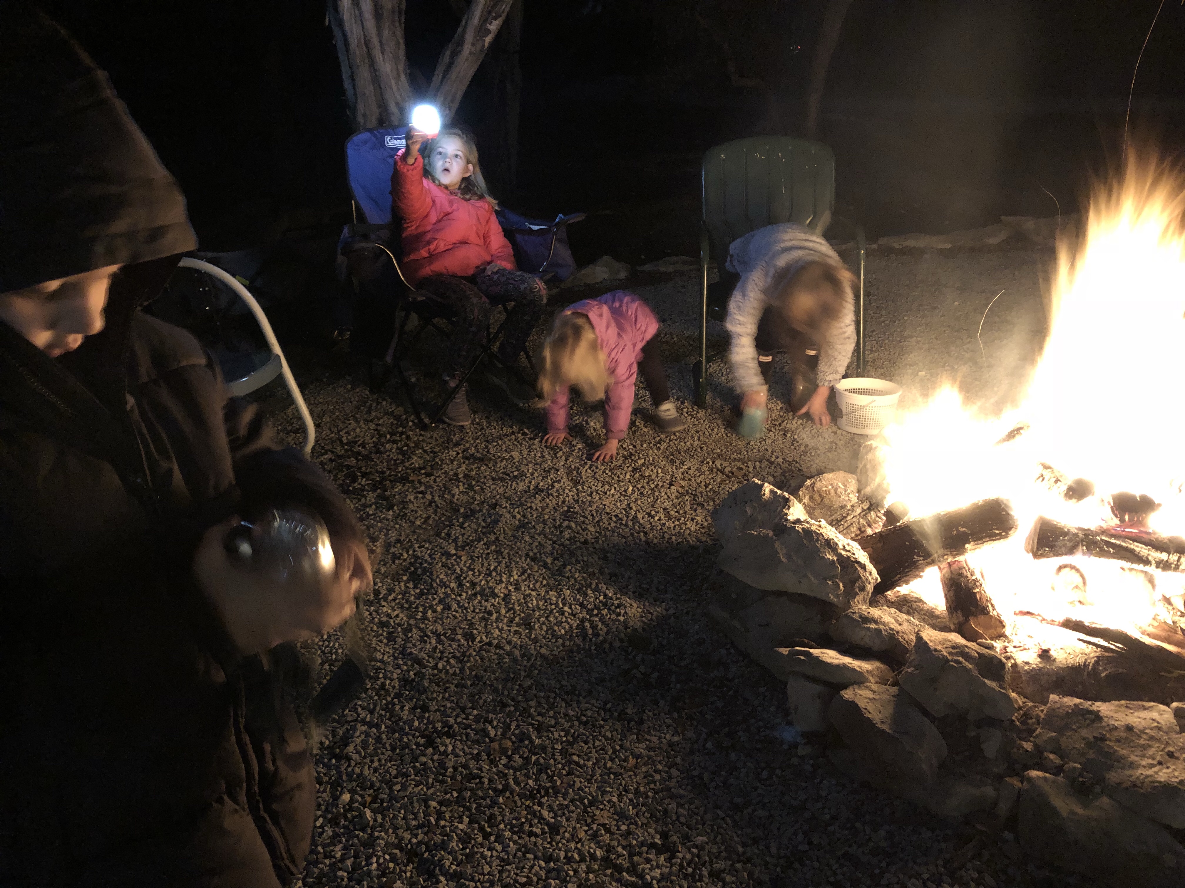 Our Trip To Dinosaur Valley